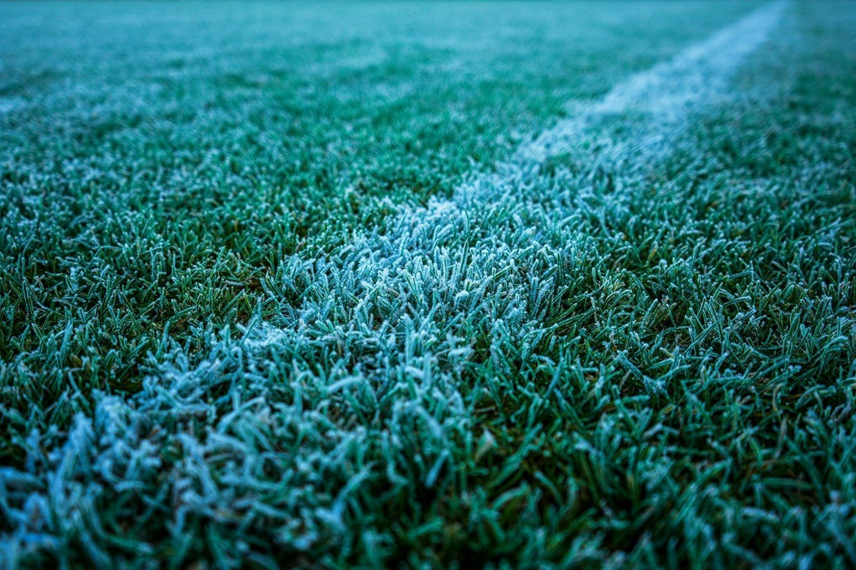 Best Lawn Fertilizer for Winter: NPK Ratio & How to Apply – GS Plant Foods