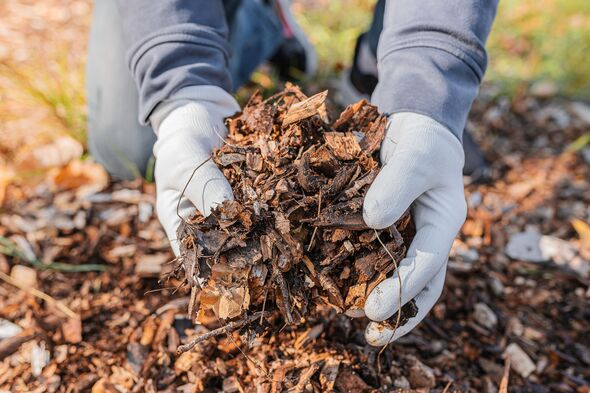 How to Prepare Flower Beds for Winter: Soil, Mulch & Protection Tips ...