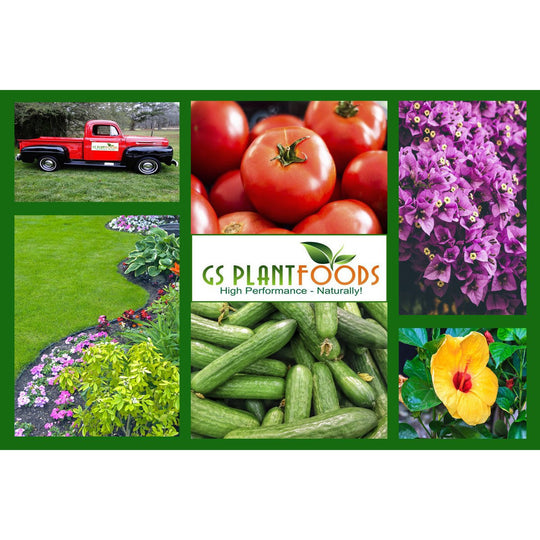 GS Plant Foods